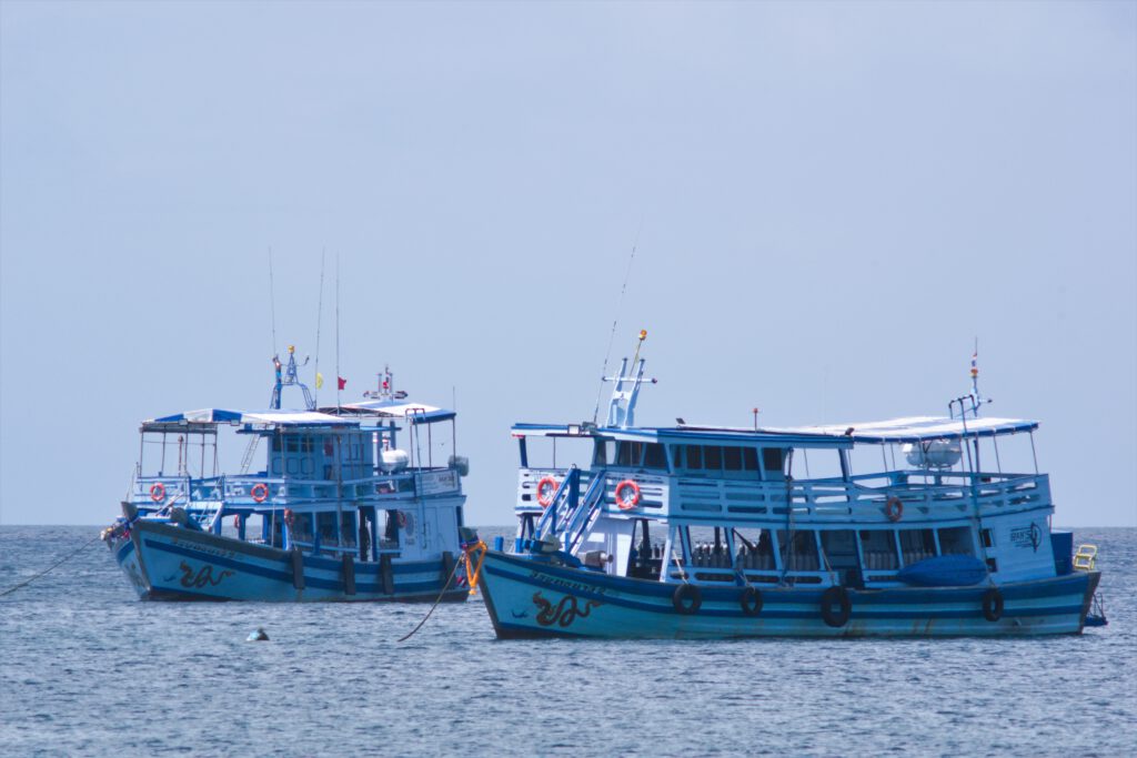 IDC, IE and MSDT - MicDiver